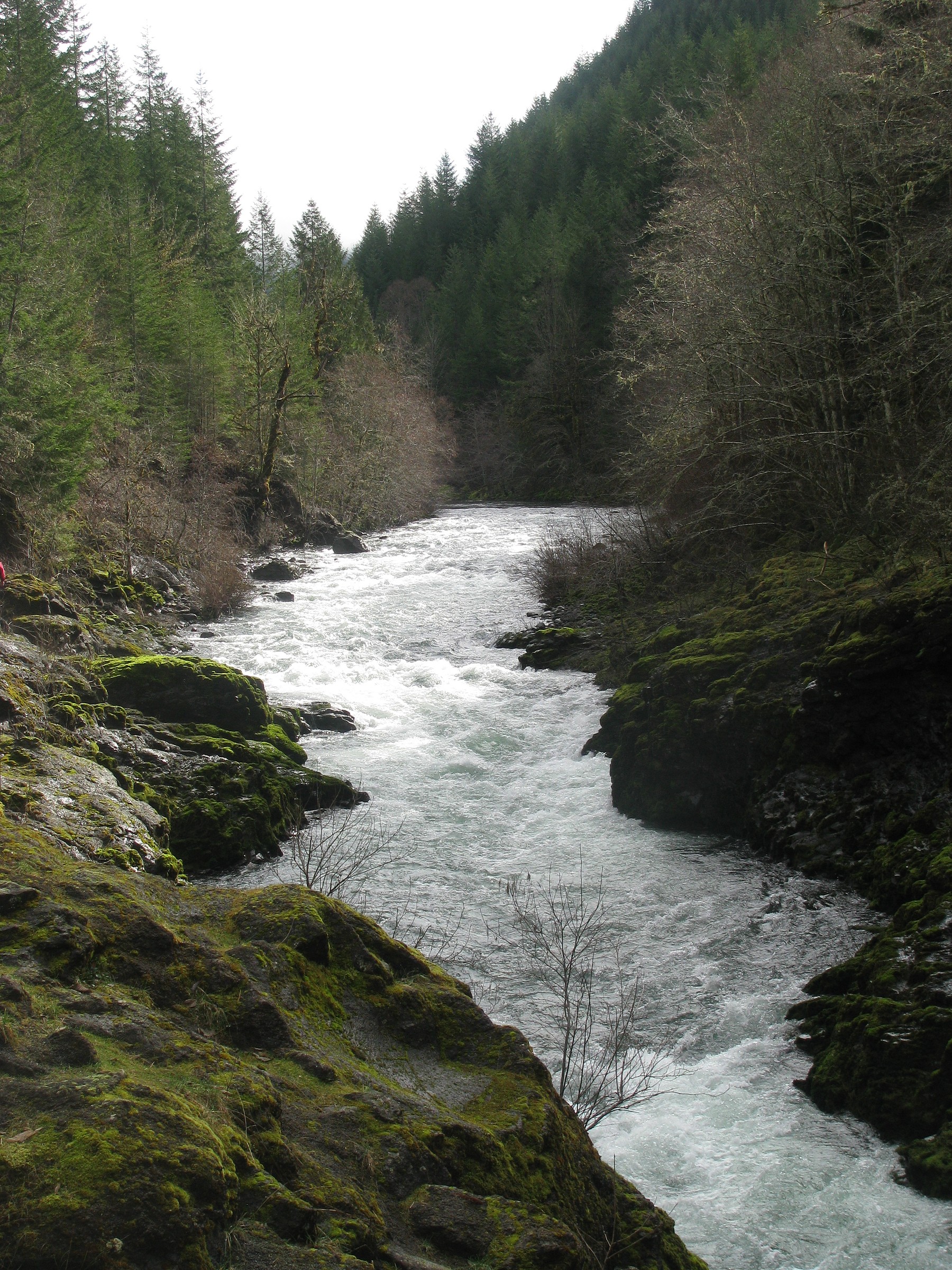 Molalla River | Natural Atlas