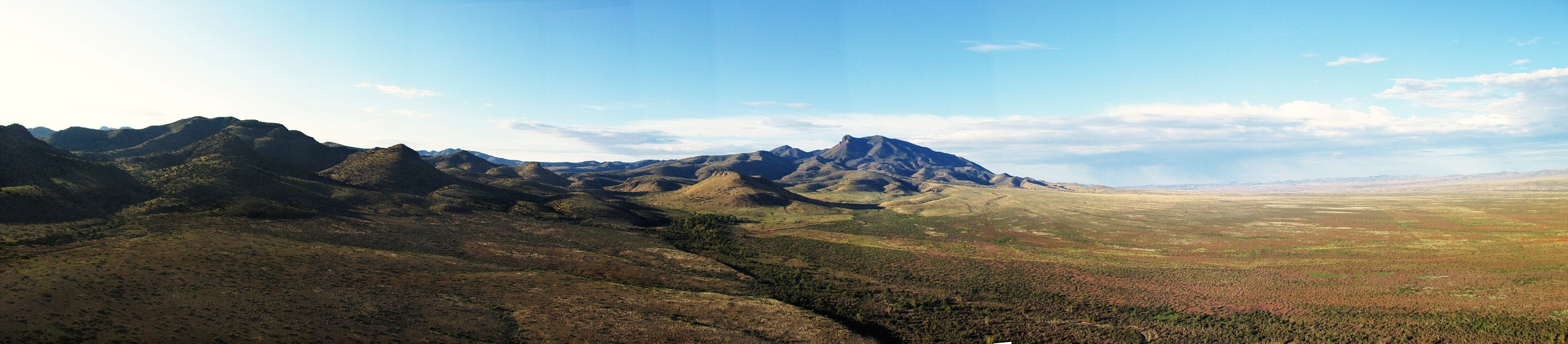 Animas Mountains | Natural Atlas