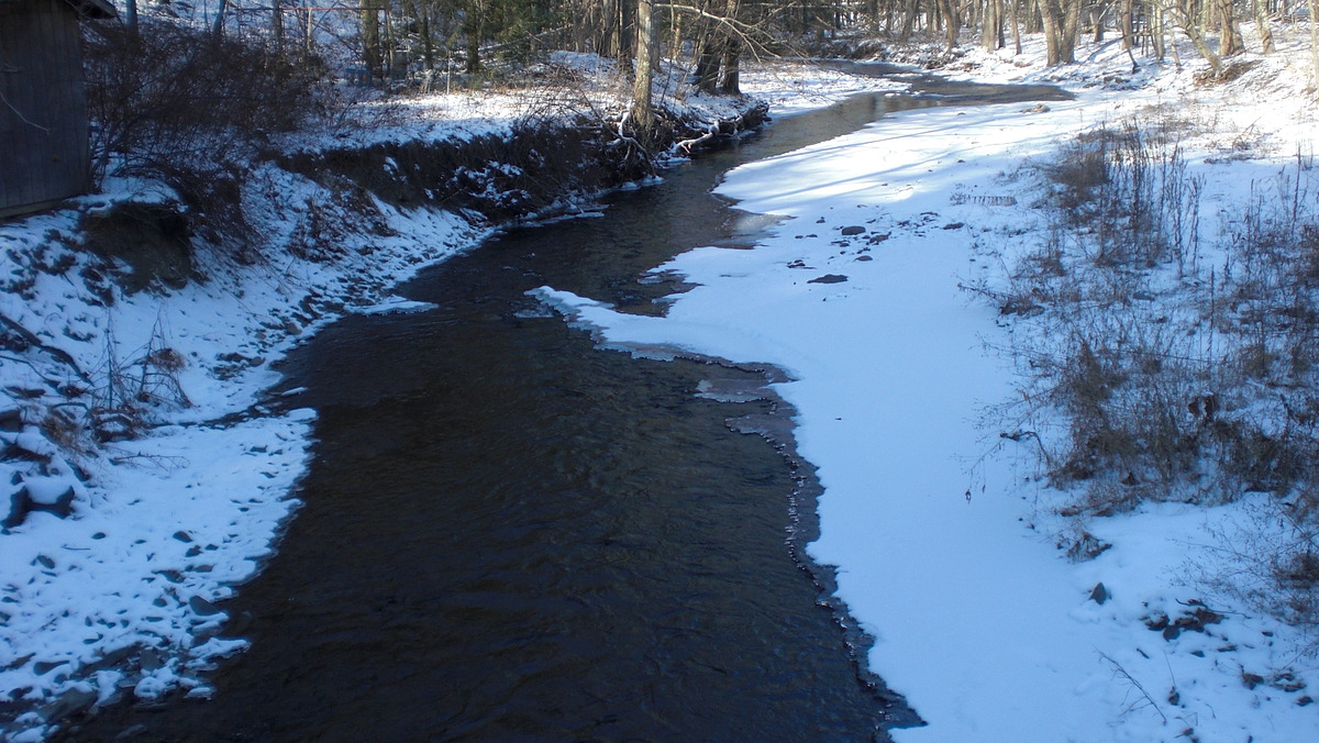 Weiser State Forest Map, PA – Natural Atlas