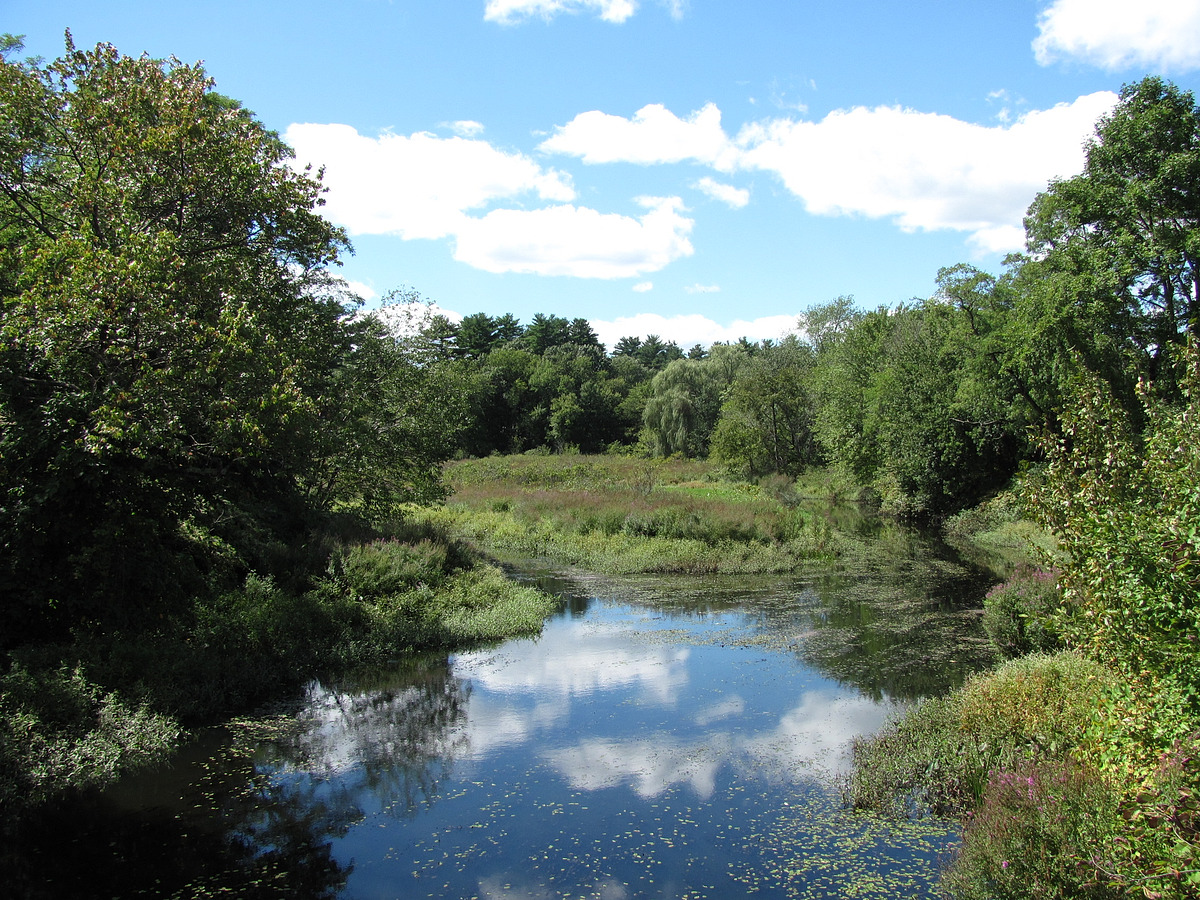 Shawsheen River | Natural Atlas