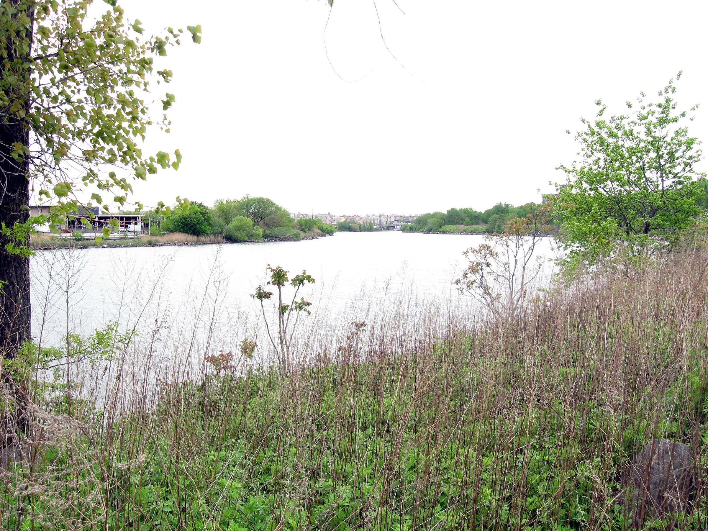 Bronx River | Natural Atlas