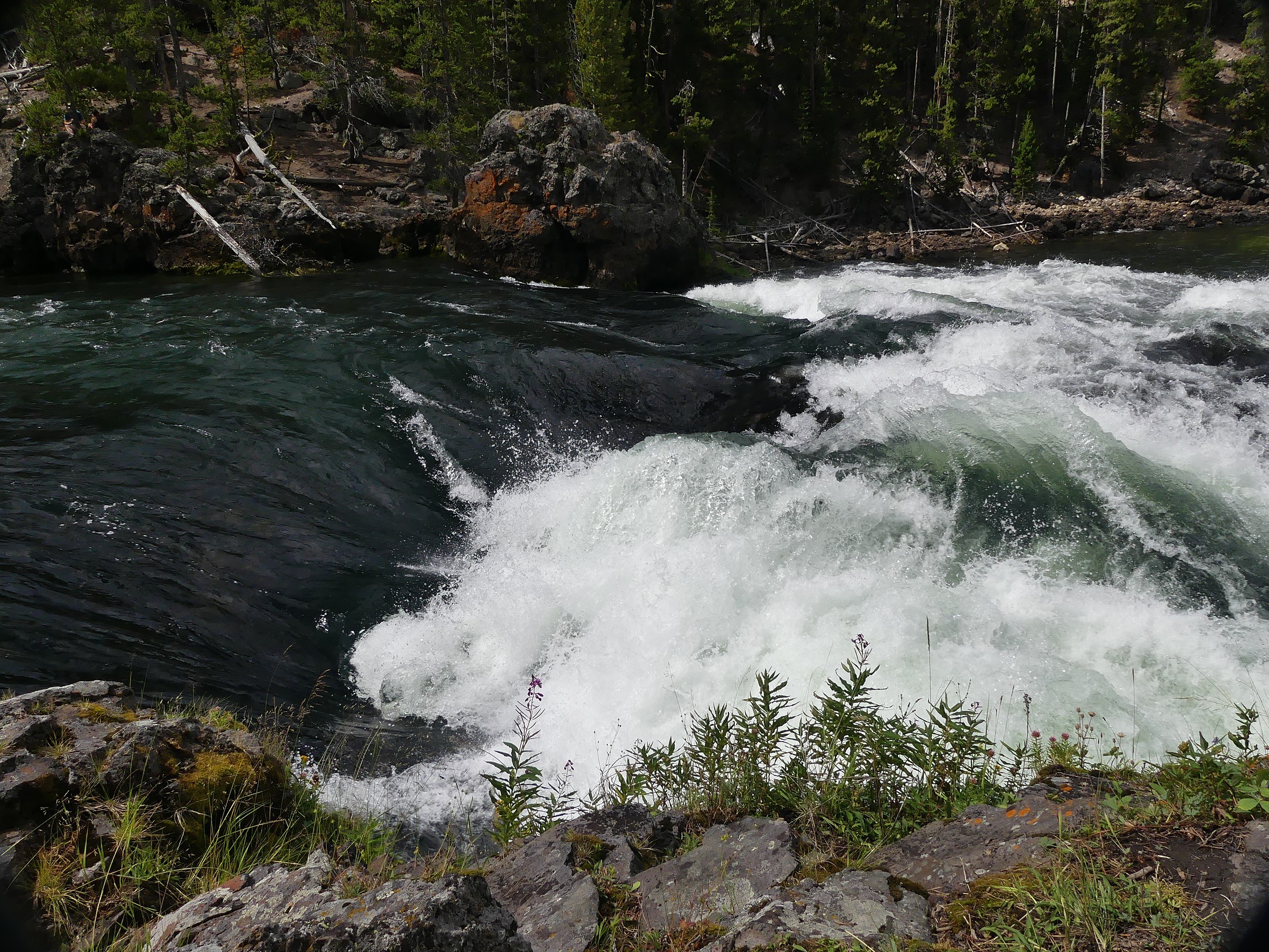 Rapids | Natural Atlas