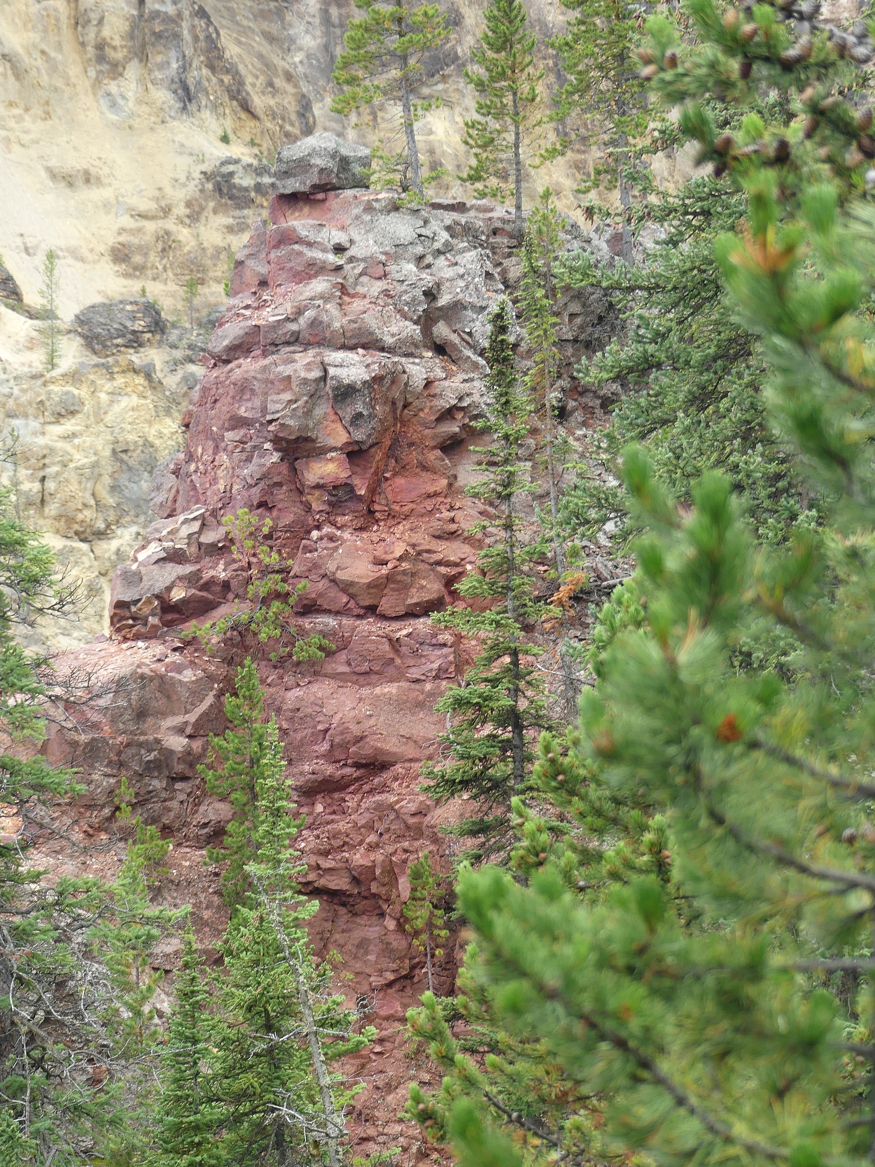 Pillars | Natural Atlas