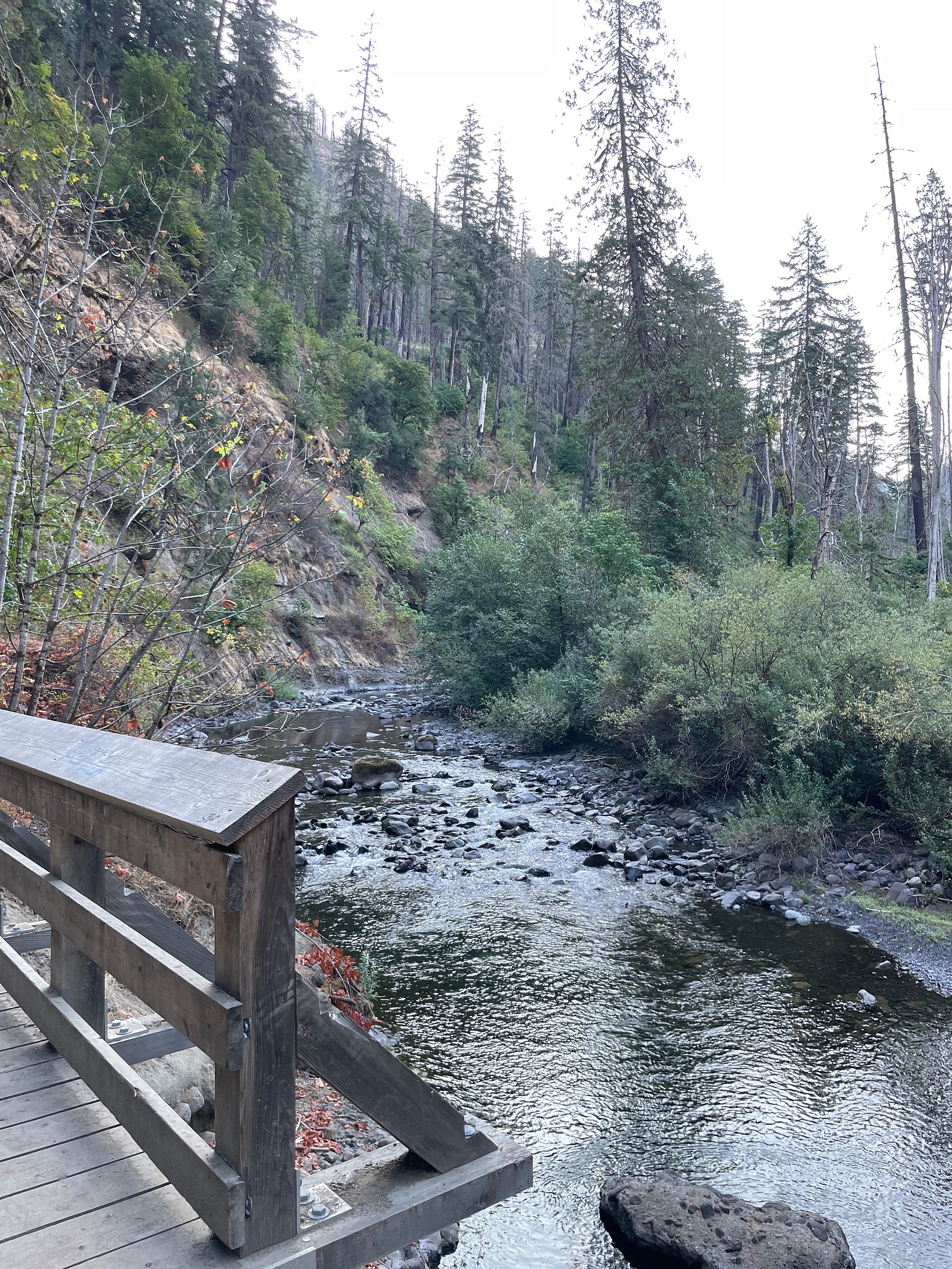Foot Bridges | Natural Atlas