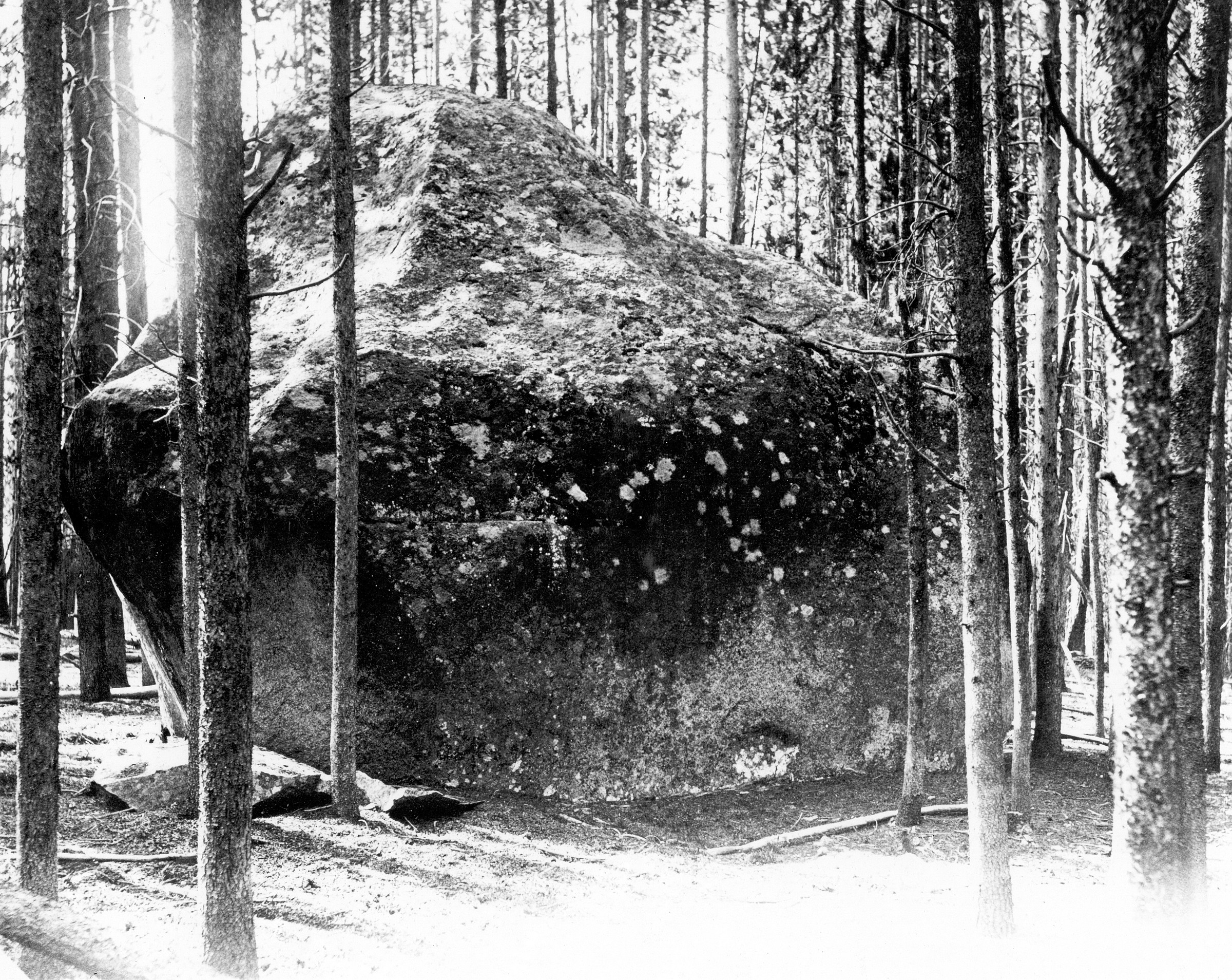 Glacial Boulder | Natural Atlas