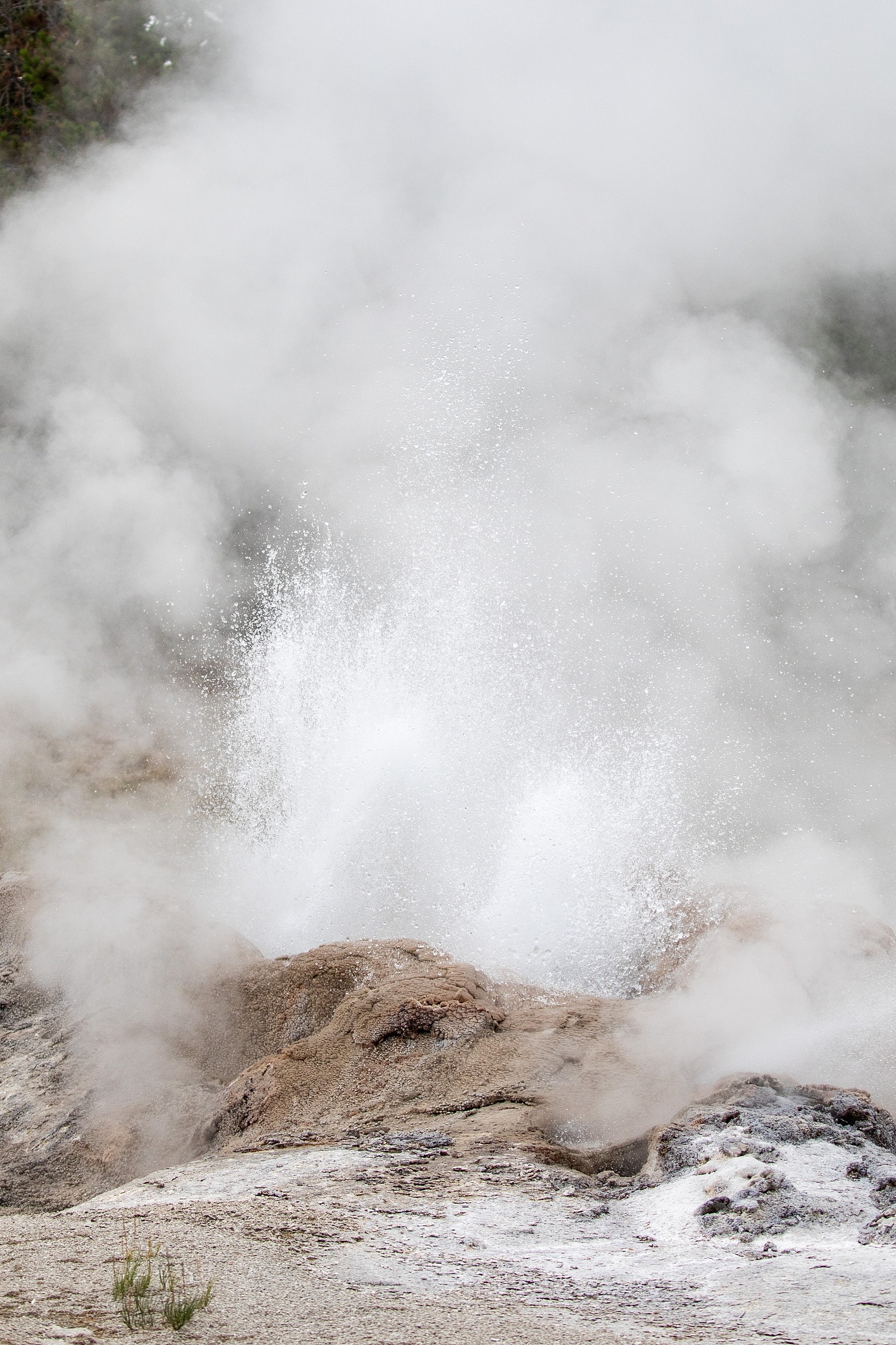 Jet Geyser | Natural Atlas