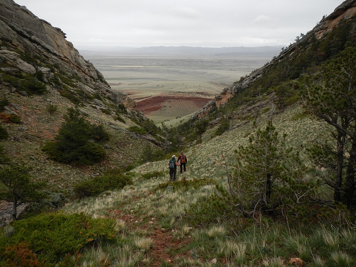 Bald Ridge Trailhead | Natural Atlas