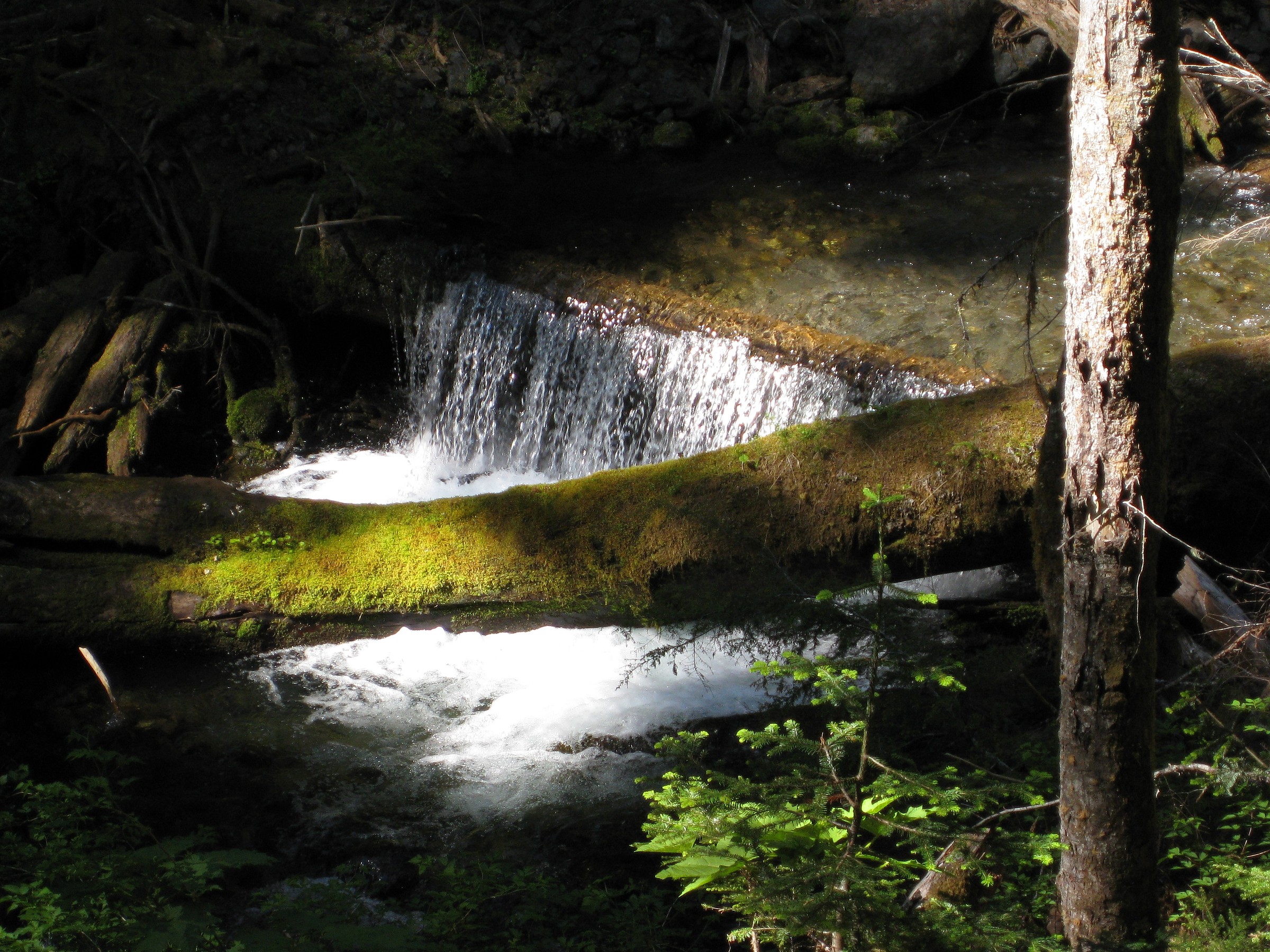 Big Quilcene River | Natural Atlas