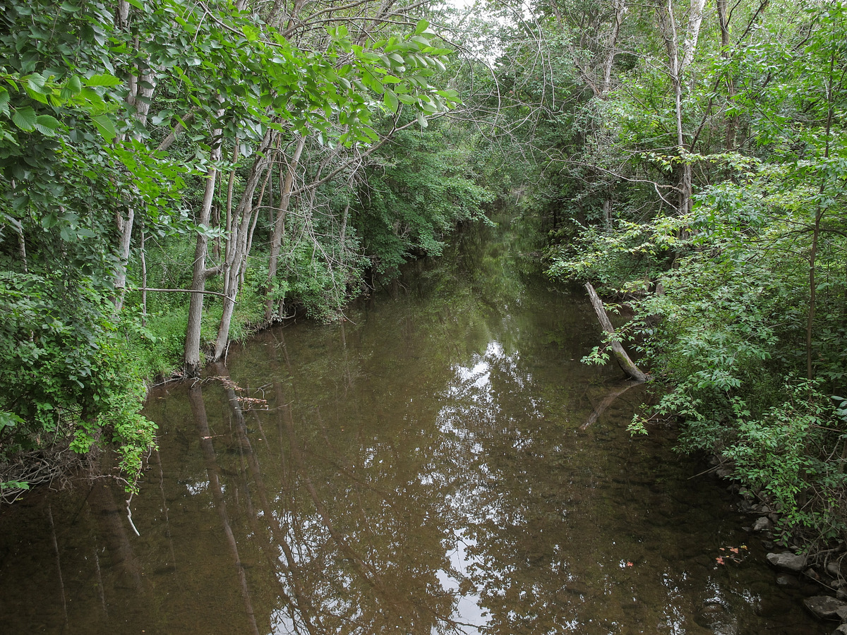 Coldwater River | Natural Atlas