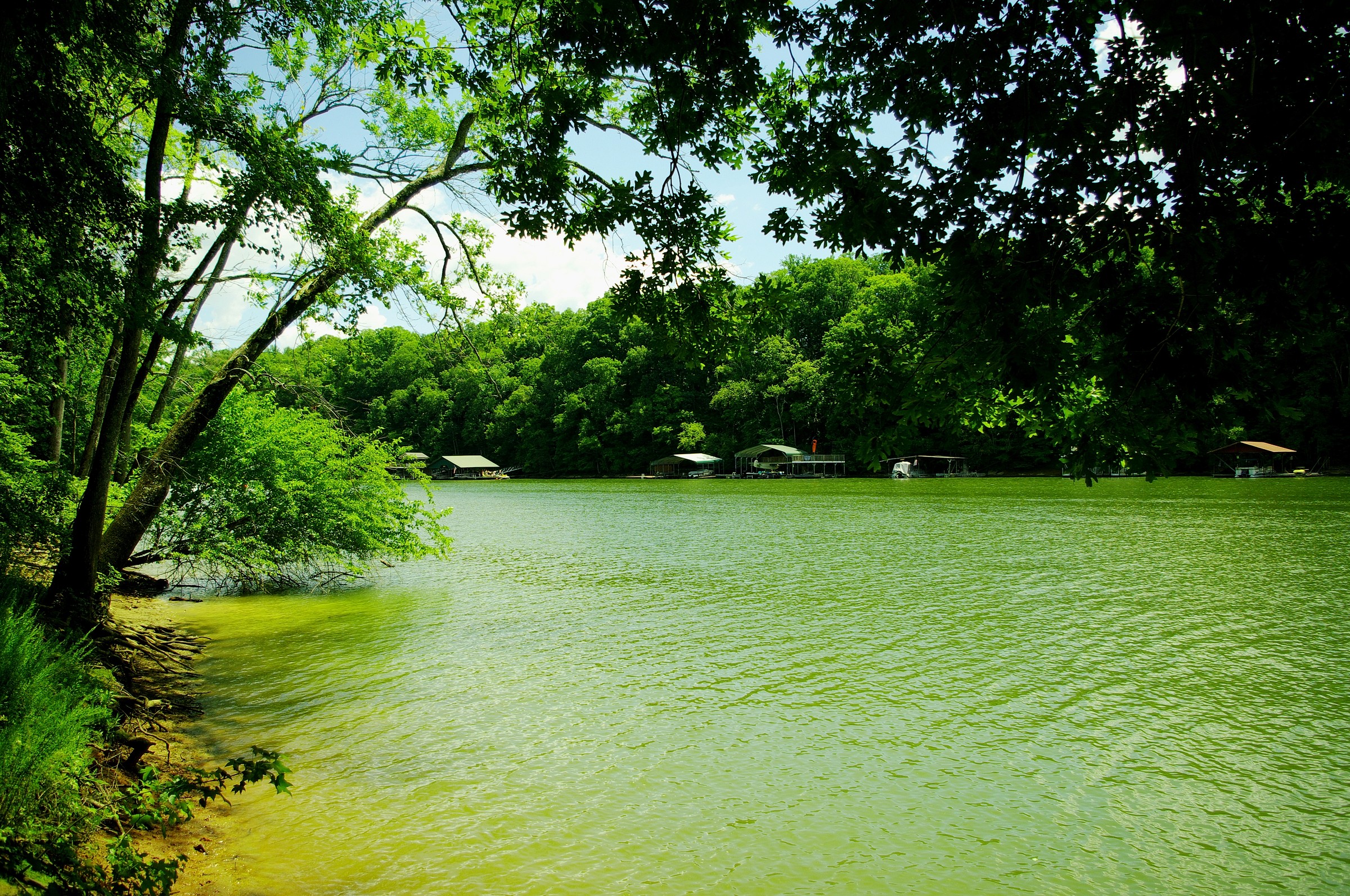 Collins River | Natural Atlas