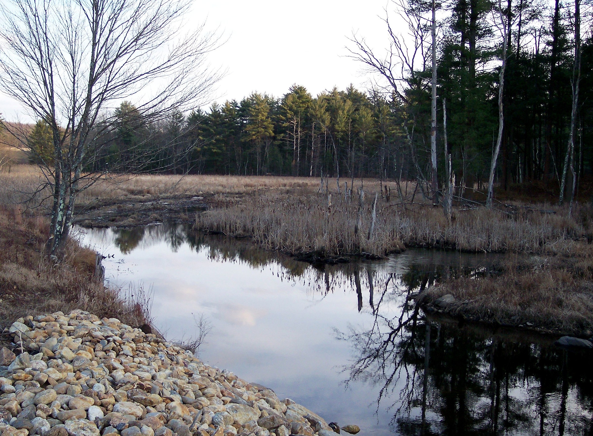 Cranberry River | Natural Atlas