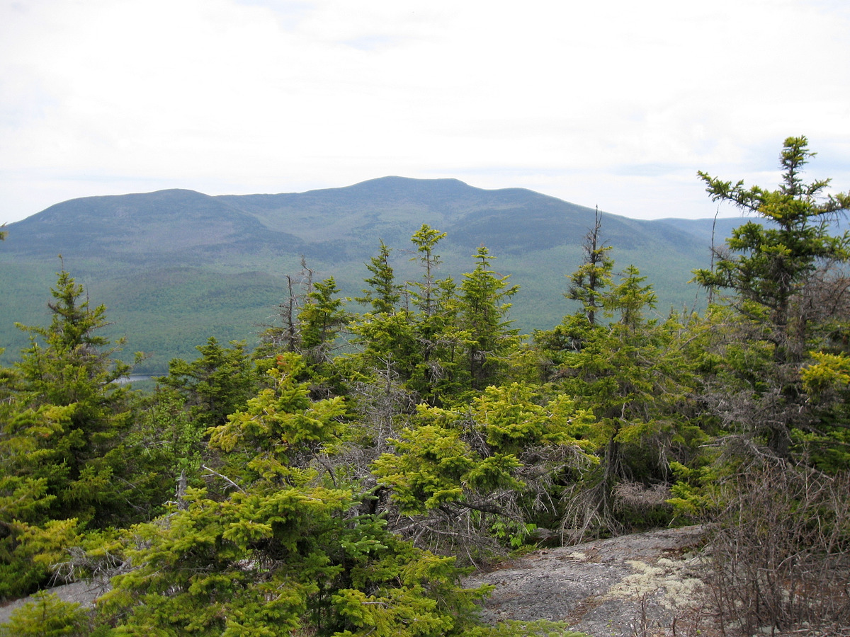 Sandwich Range Wilderness Map, NH – Natural Atlas