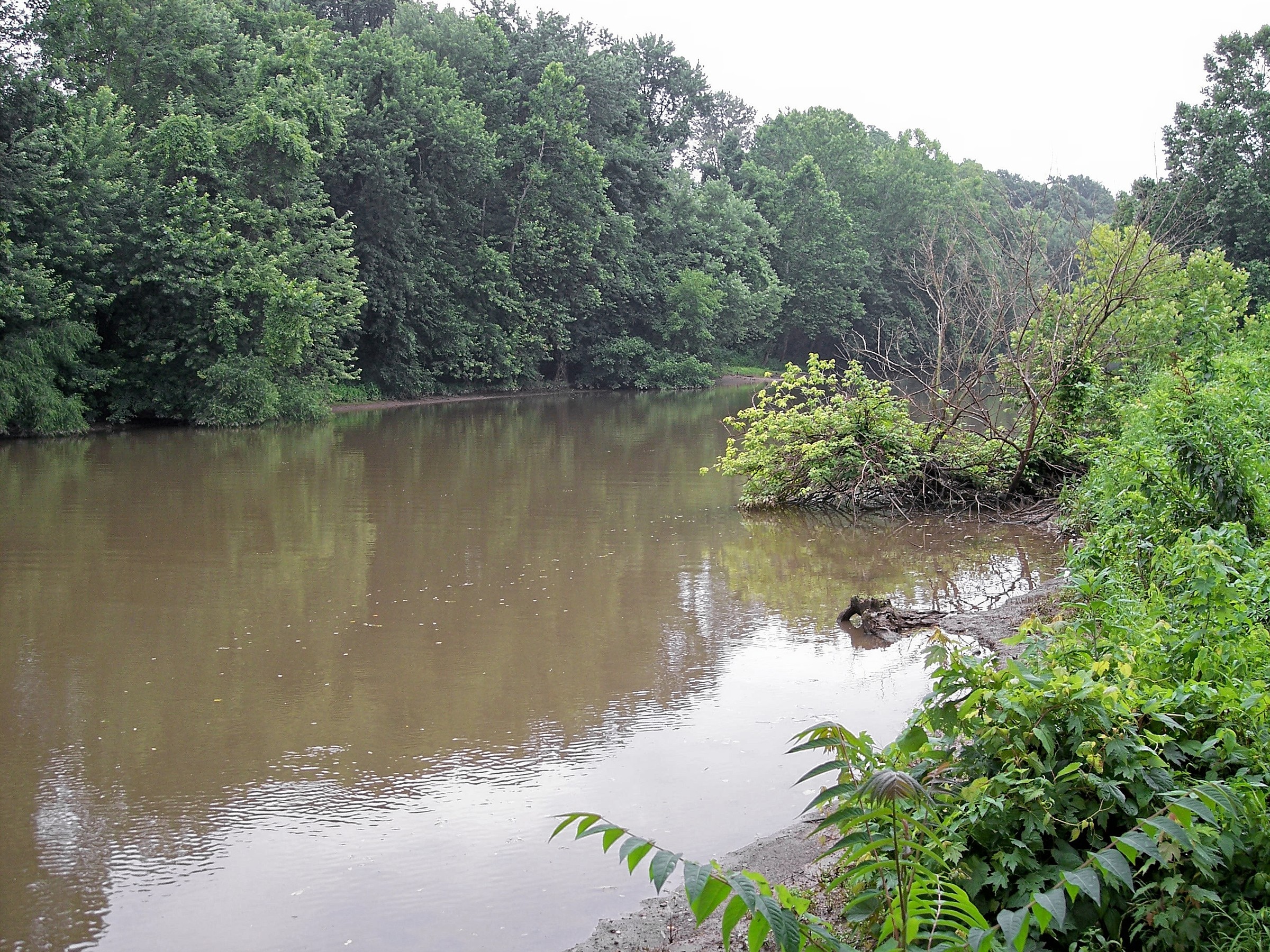 Sandy Creek | Natural Atlas
