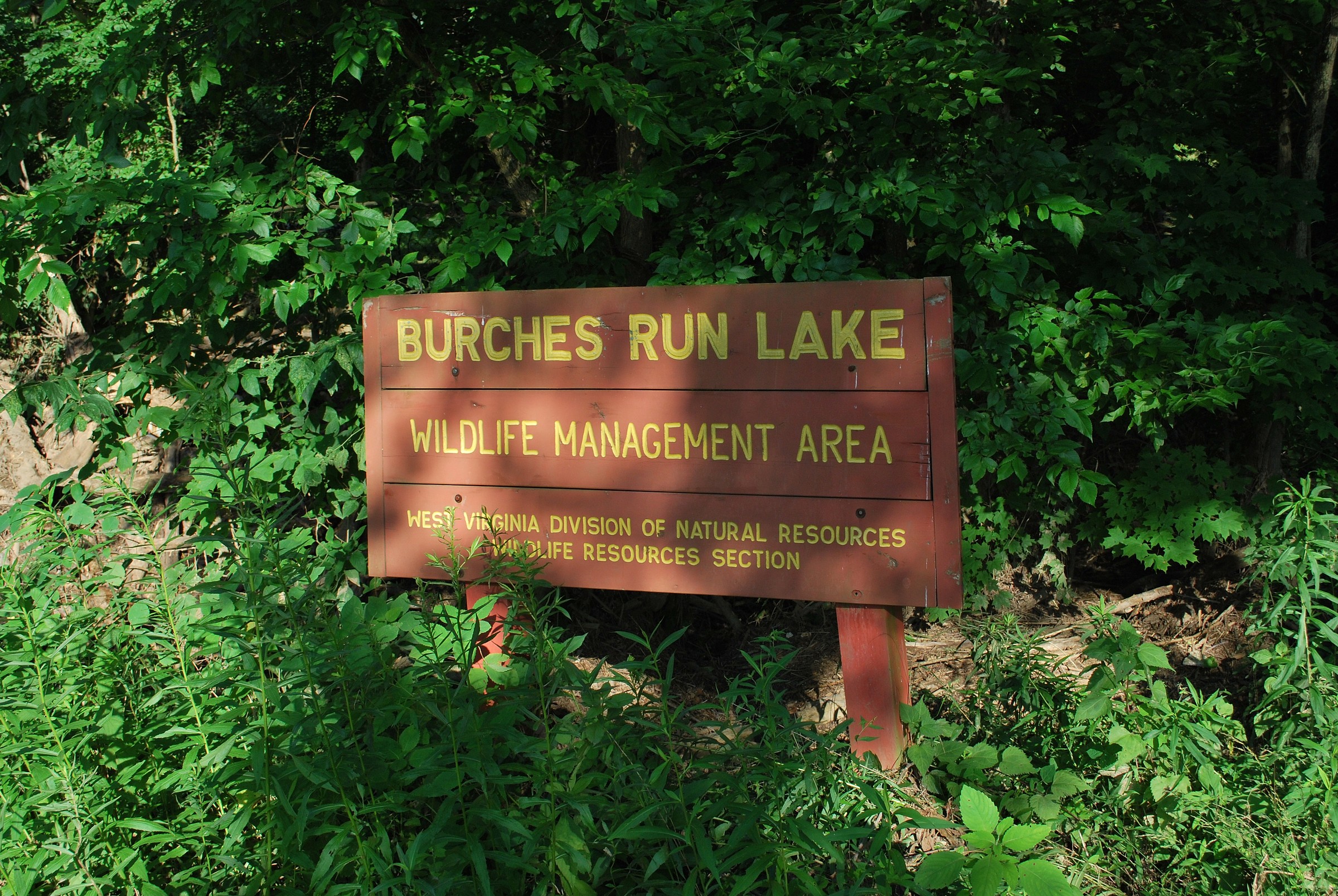Burches Run Wildlife Management Area | Natural Atlas