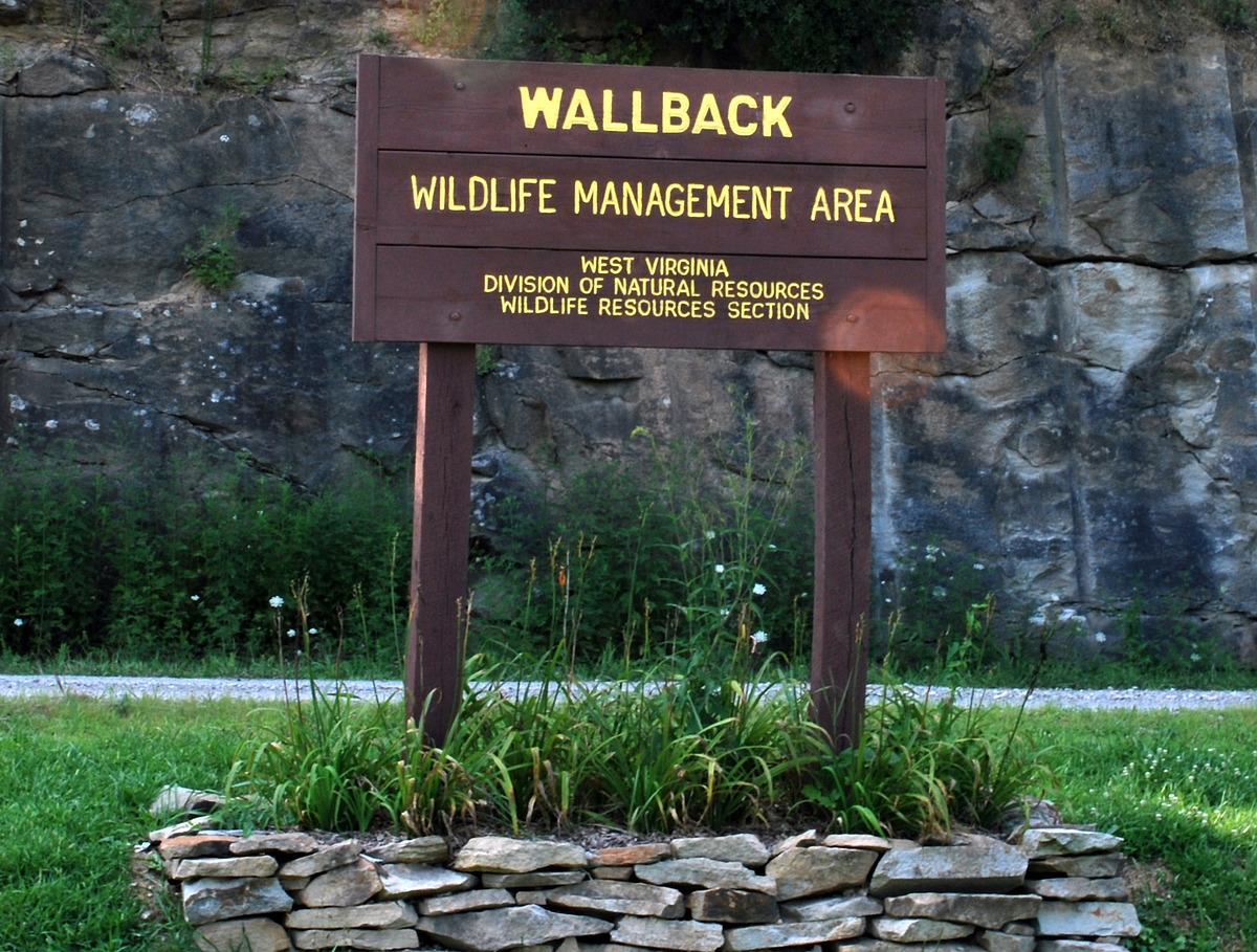 Wallback Wildlife Management Area | Natural Atlas