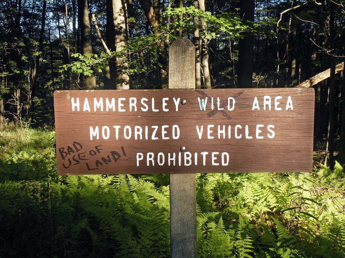 Hammersley Wild Area | Natural Atlas