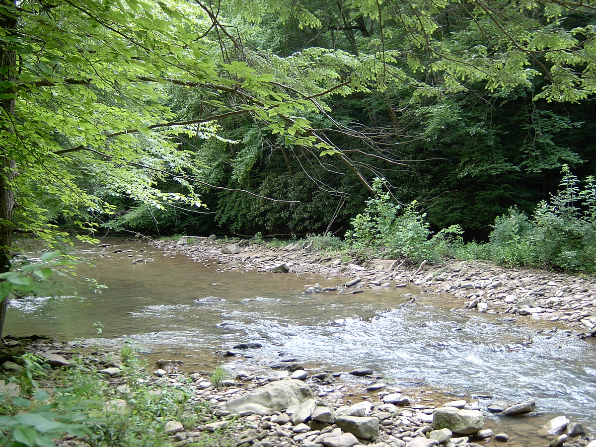 Panther Wildlife Management Area | Natural Atlas