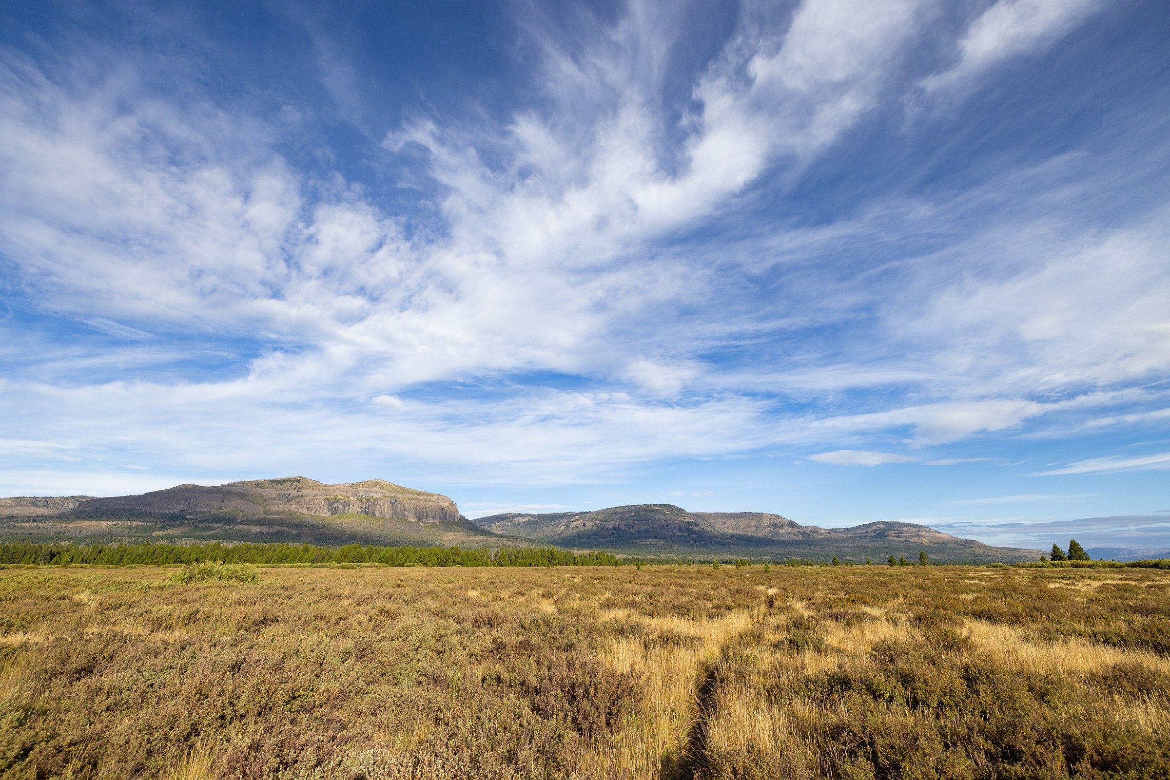 Thorofare Creek | Natural Atlas
