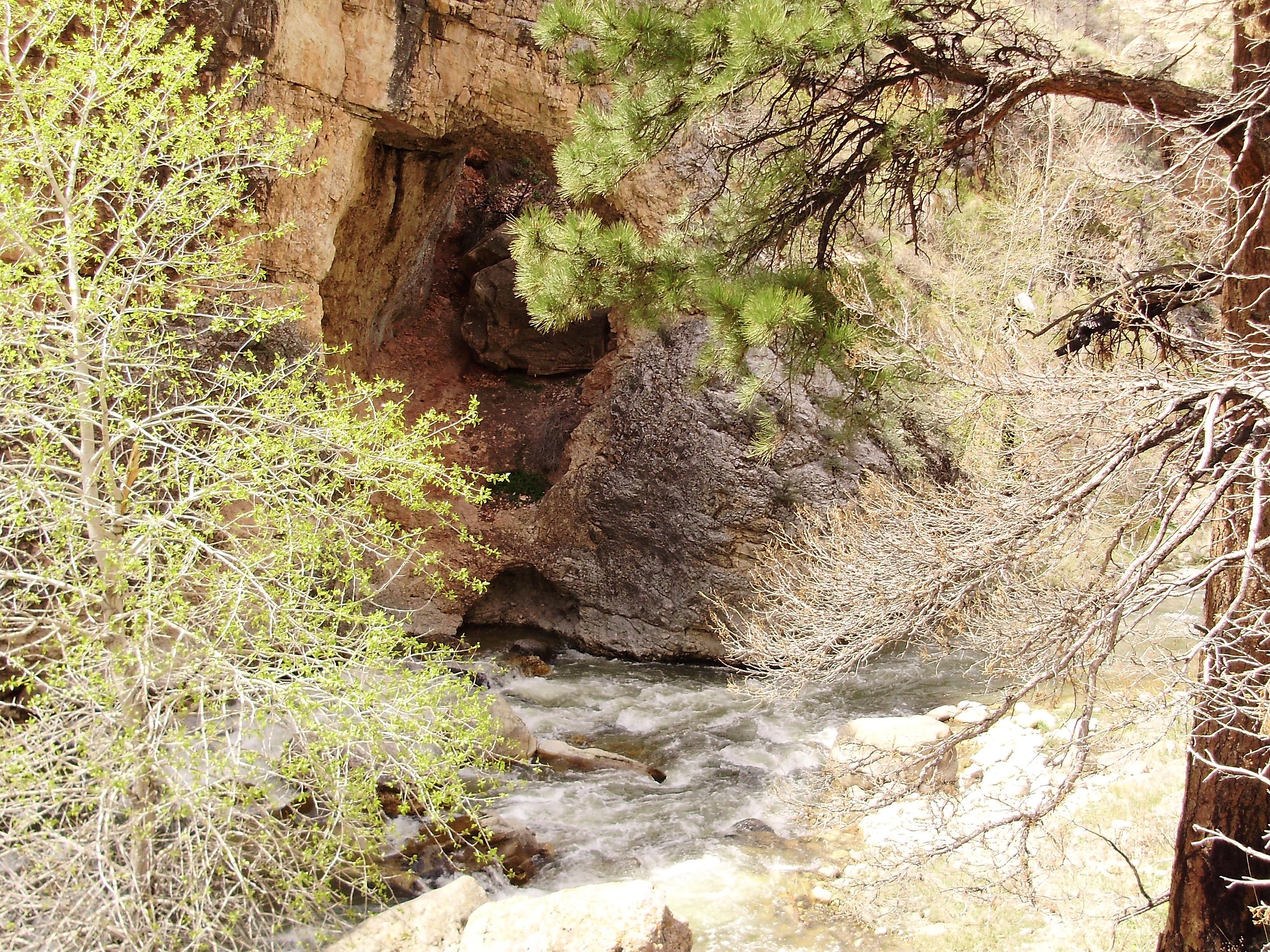 Outlaw Cave | Natural Atlas
