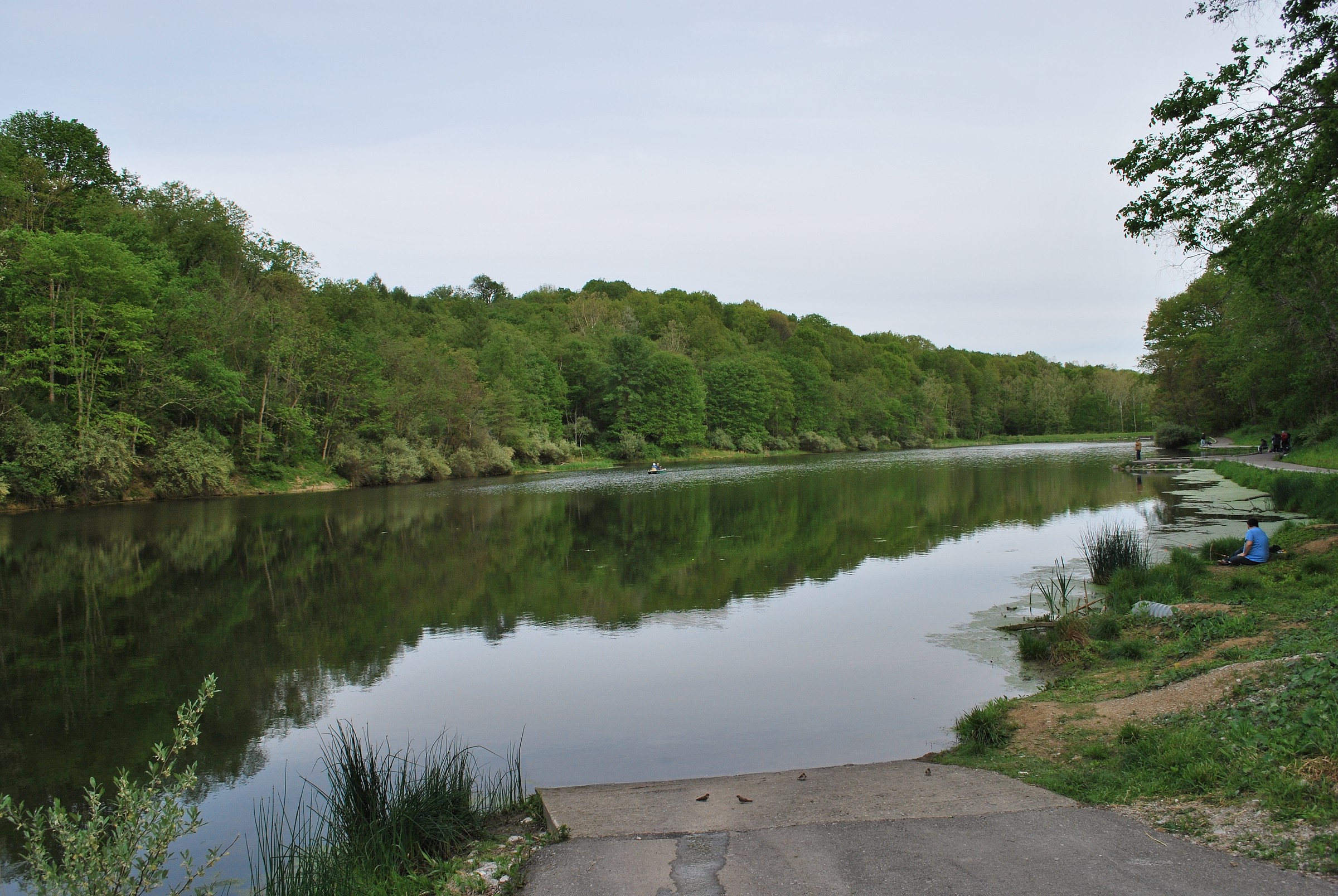 Bear Rocks Lake Wildlife Management Area | Natural Atlas