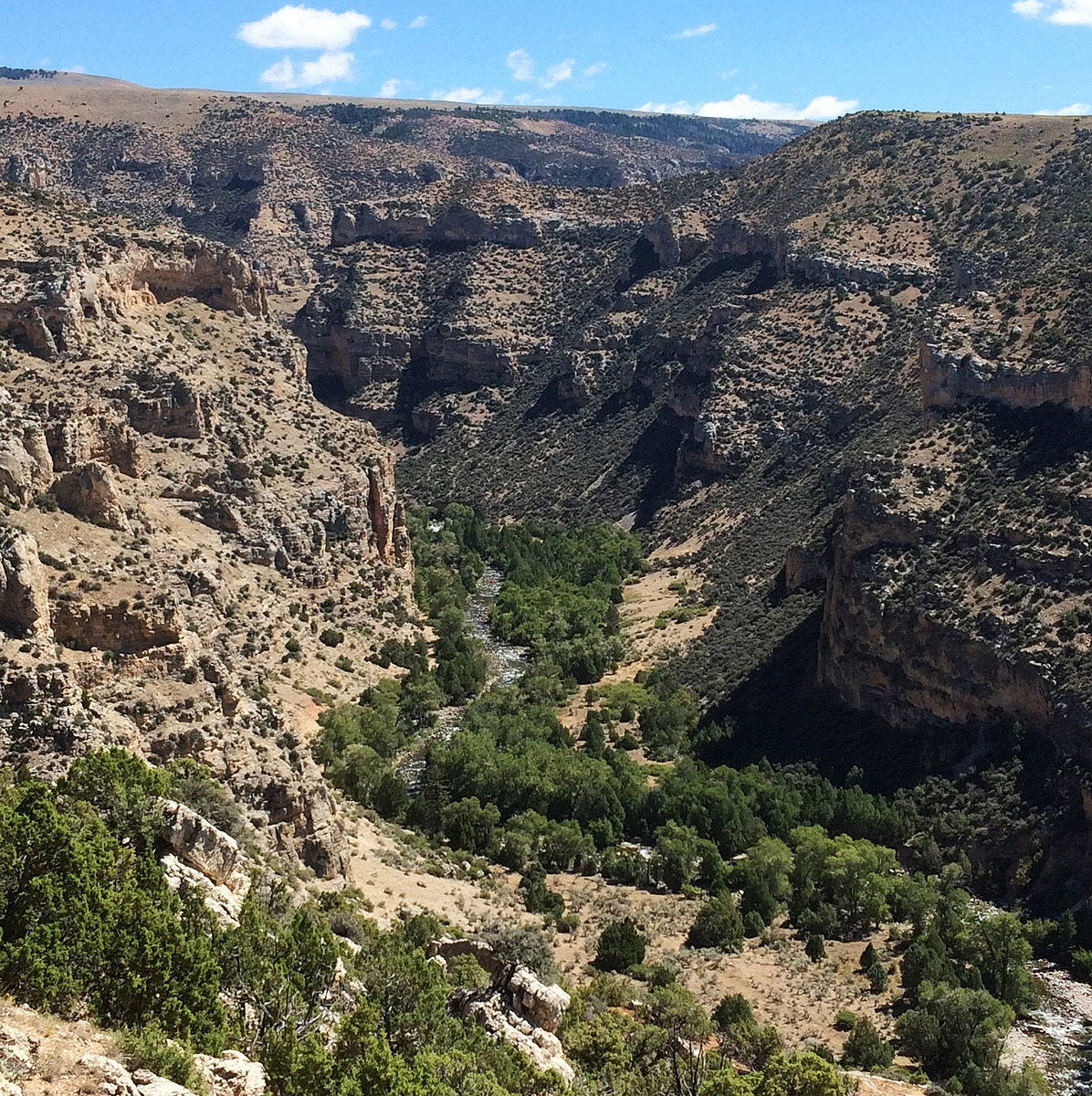 Lone Tree Trailhead | Natural Atlas
