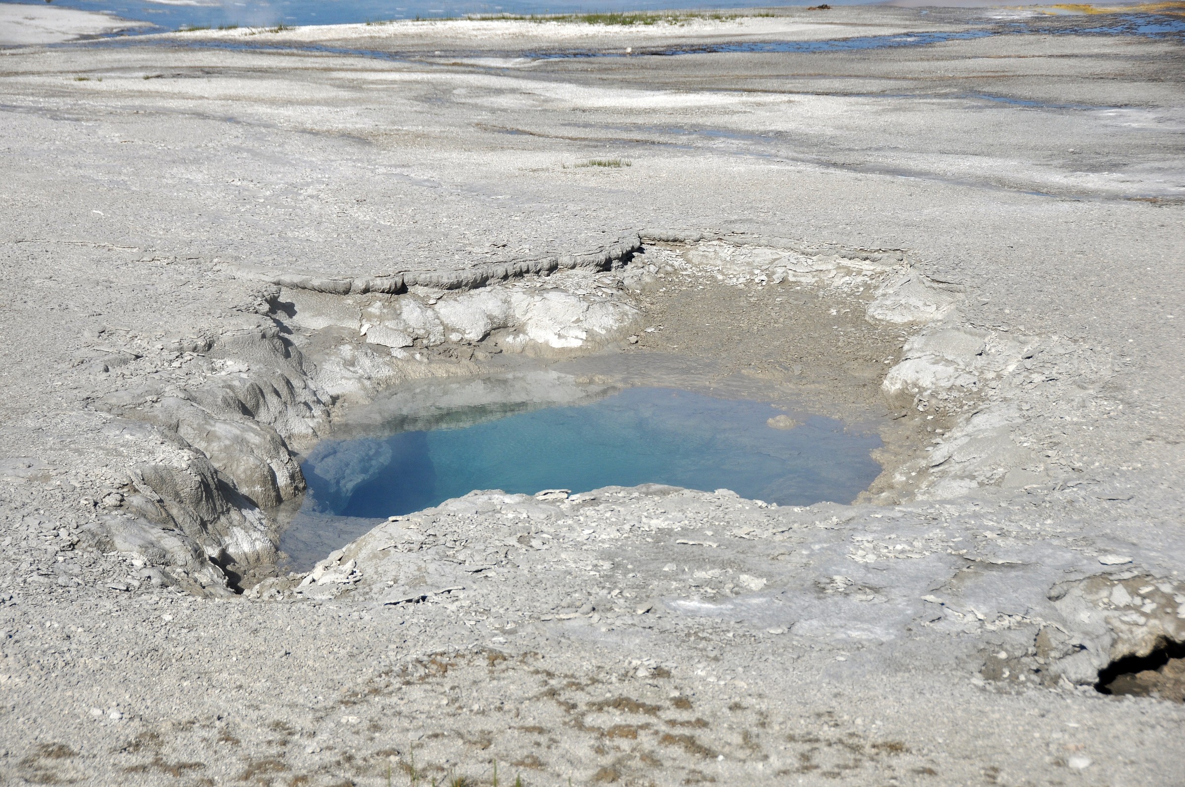 Jelly Spring | Natural Atlas