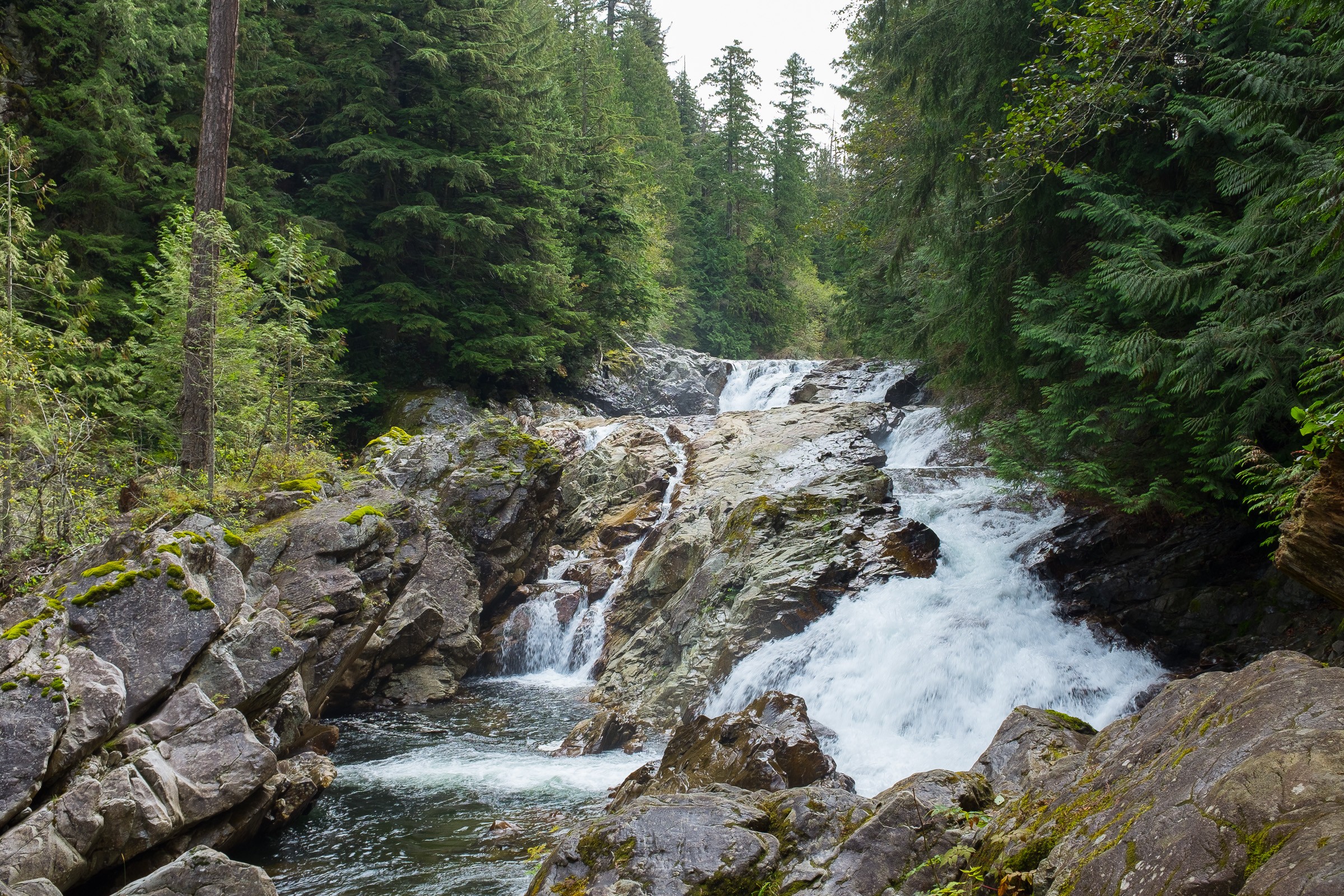 South Fork Snoqualmie River Map (Middle Fork Snoqualmie Natural ...