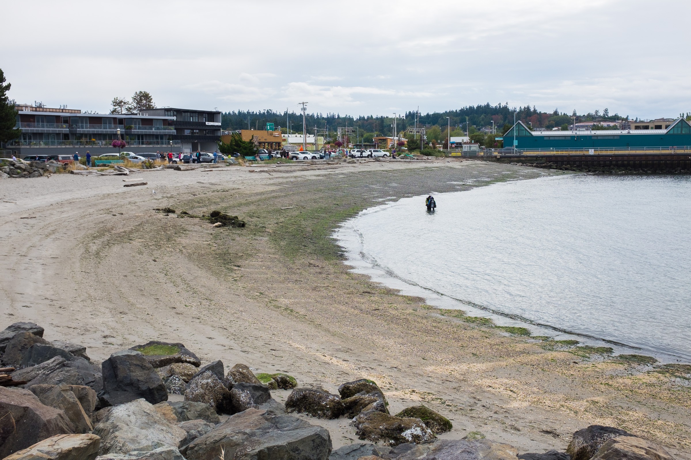 Edmonds Underwater Park | Natural Atlas