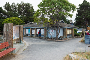 Edmonds Underwater Park | Natural Atlas