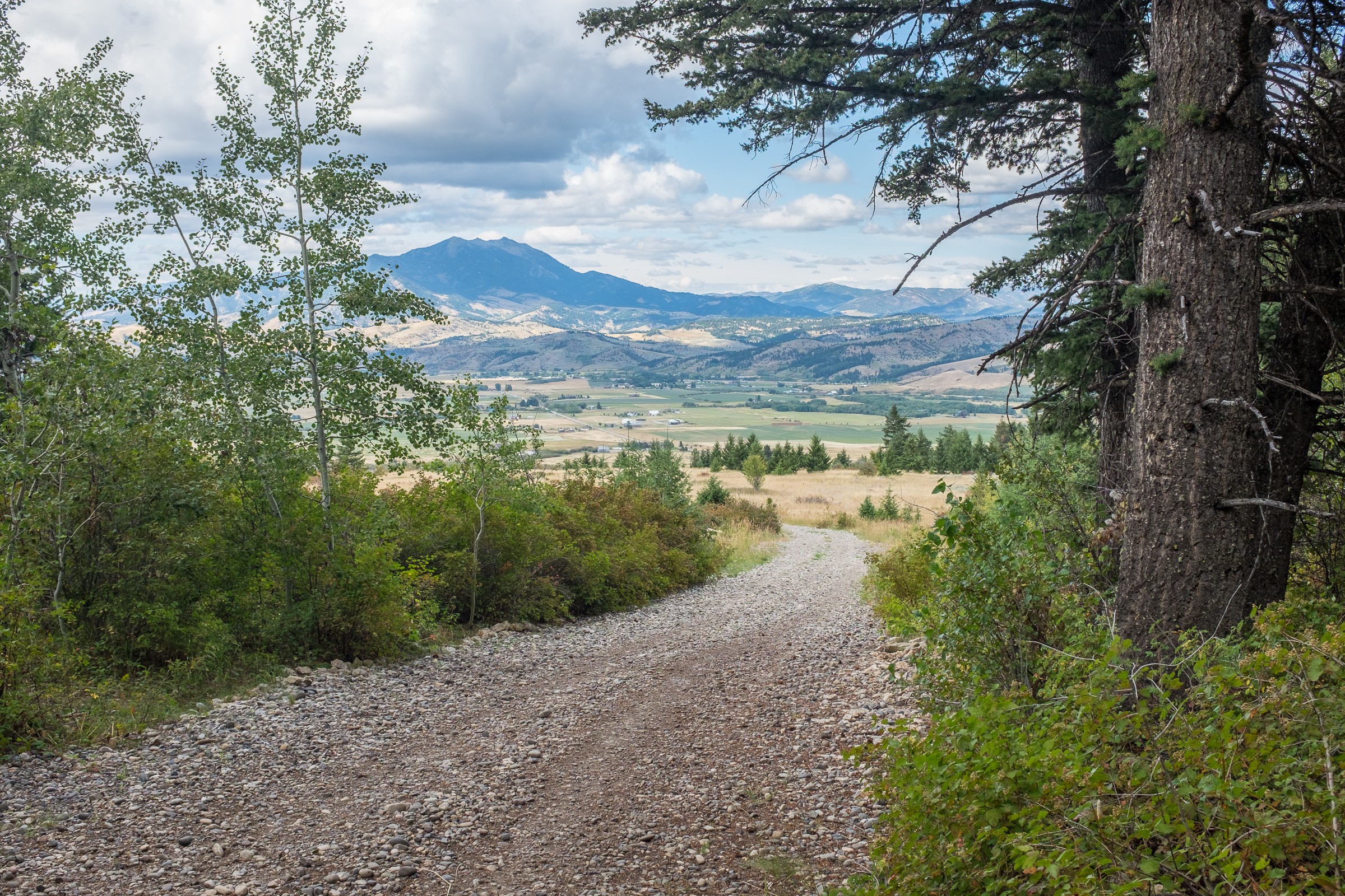 Mt. Ellis Trailhead | Natural Atlas