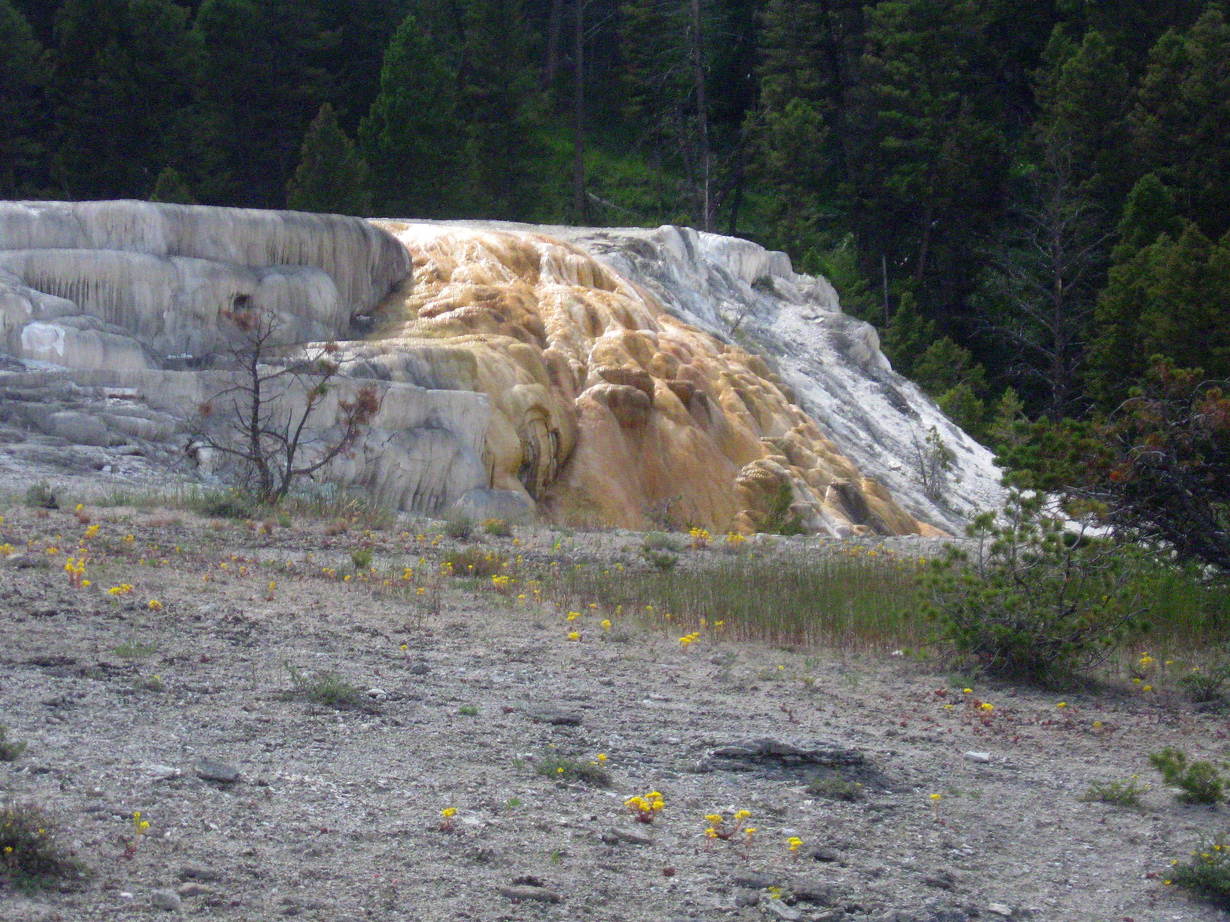 Cleopatra Terrace | Natural Atlas