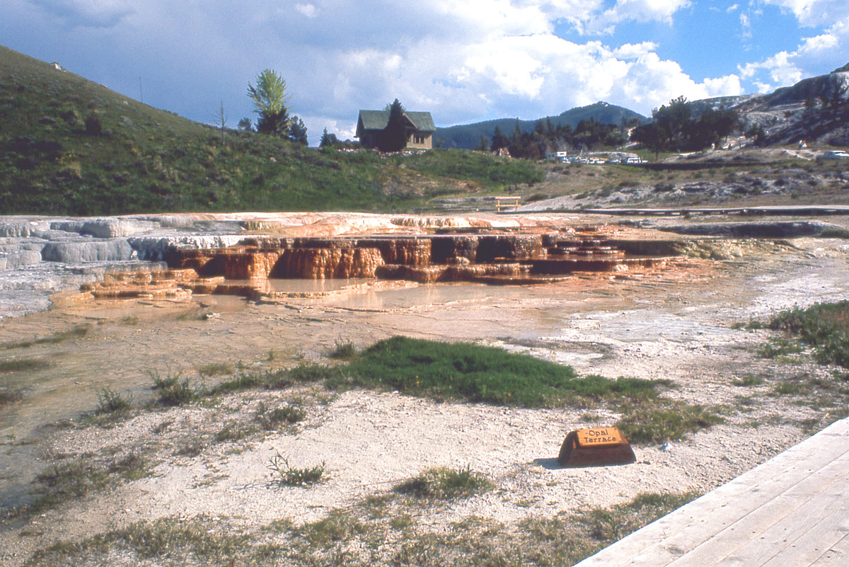 Opal Terrace | Natural Atlas