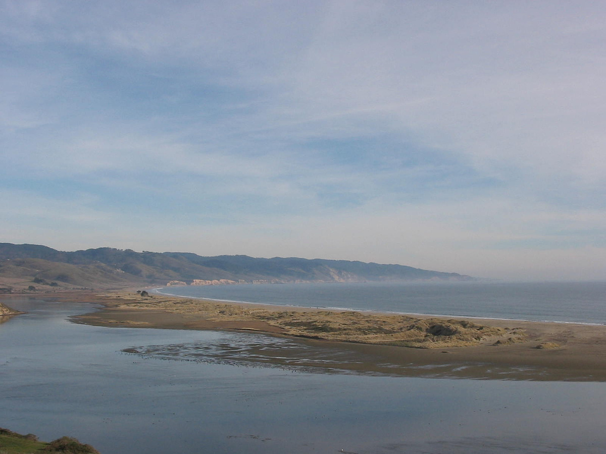 Limantour Beach | Natural Atlas