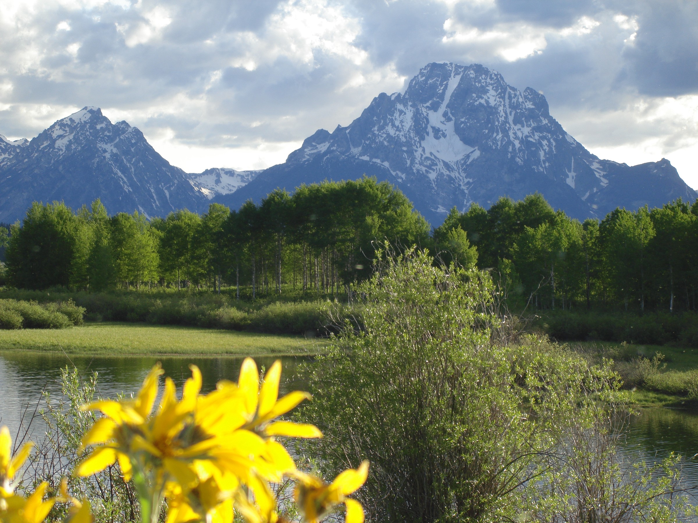 Oxbow Bend Turnout | Natural Atlas