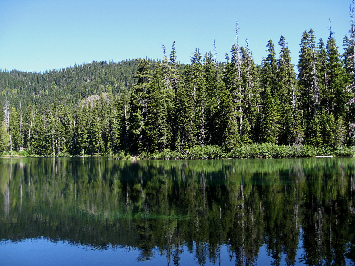 Lake Eleanor | Natural Atlas