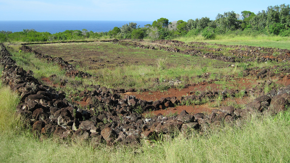 Pu’u O Mahuka State Monument | Natural Atlas