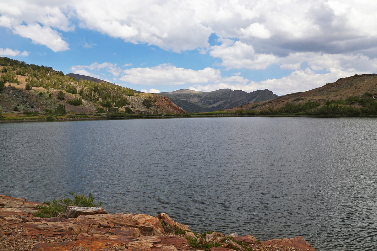 Hoover Wilderness Map, CA – Natural Atlas