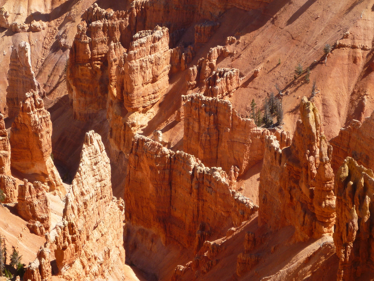 Point Supreme | Natural Atlas