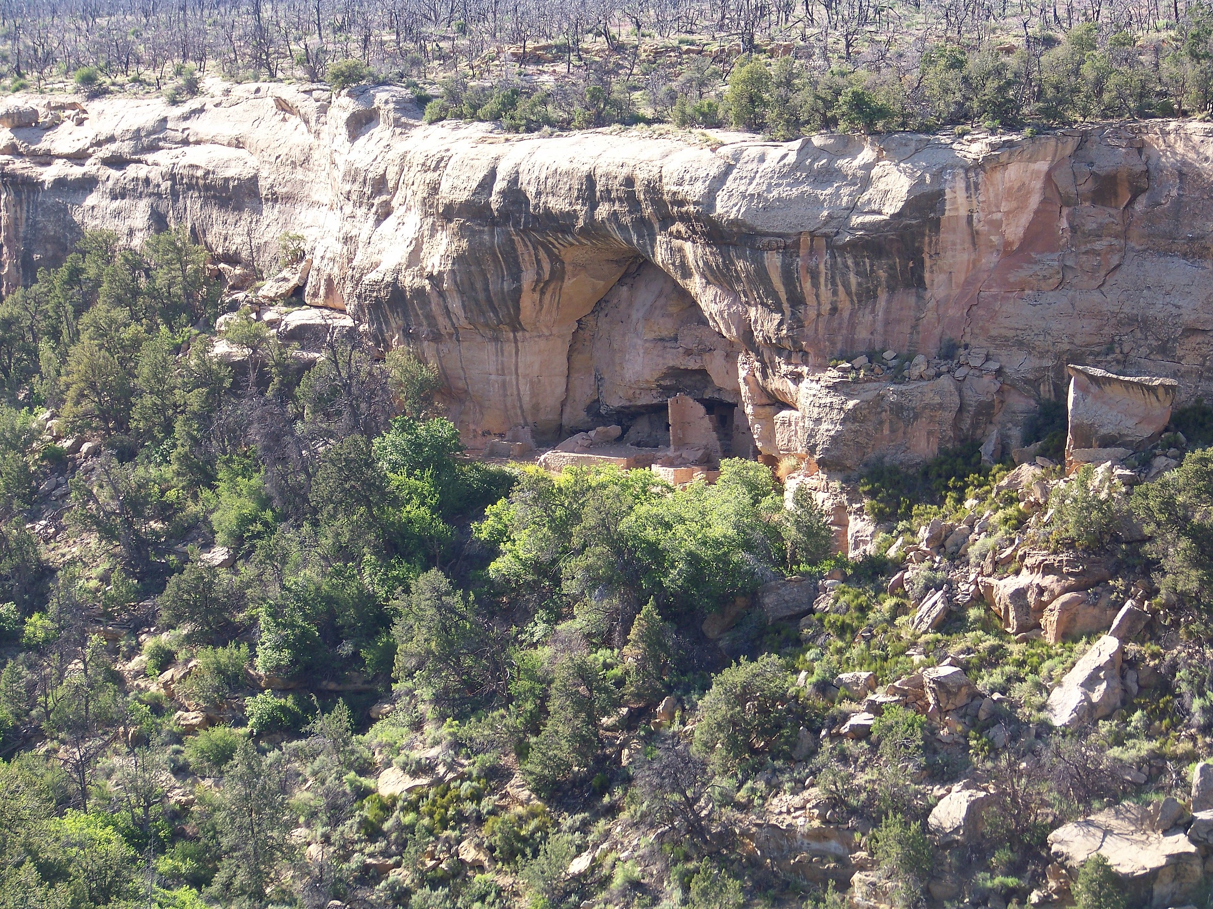 Cliff Palace (Mesa Verde) – Natural Atlas