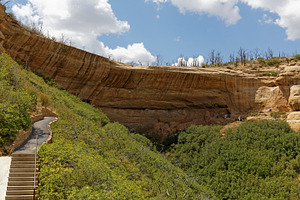 Step House | Natural Atlas