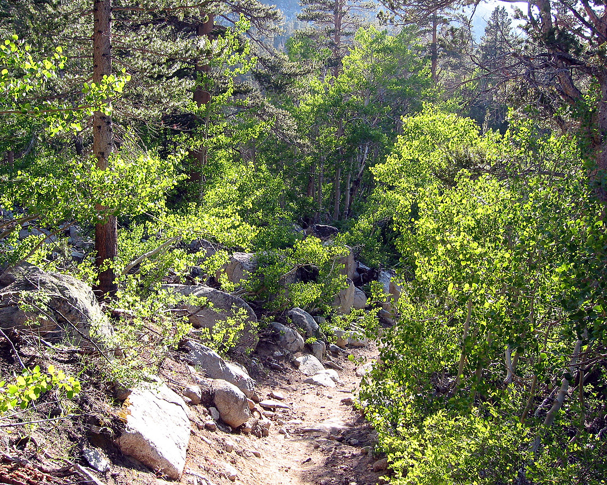 Lamarck Lakes Trail | Natural Atlas