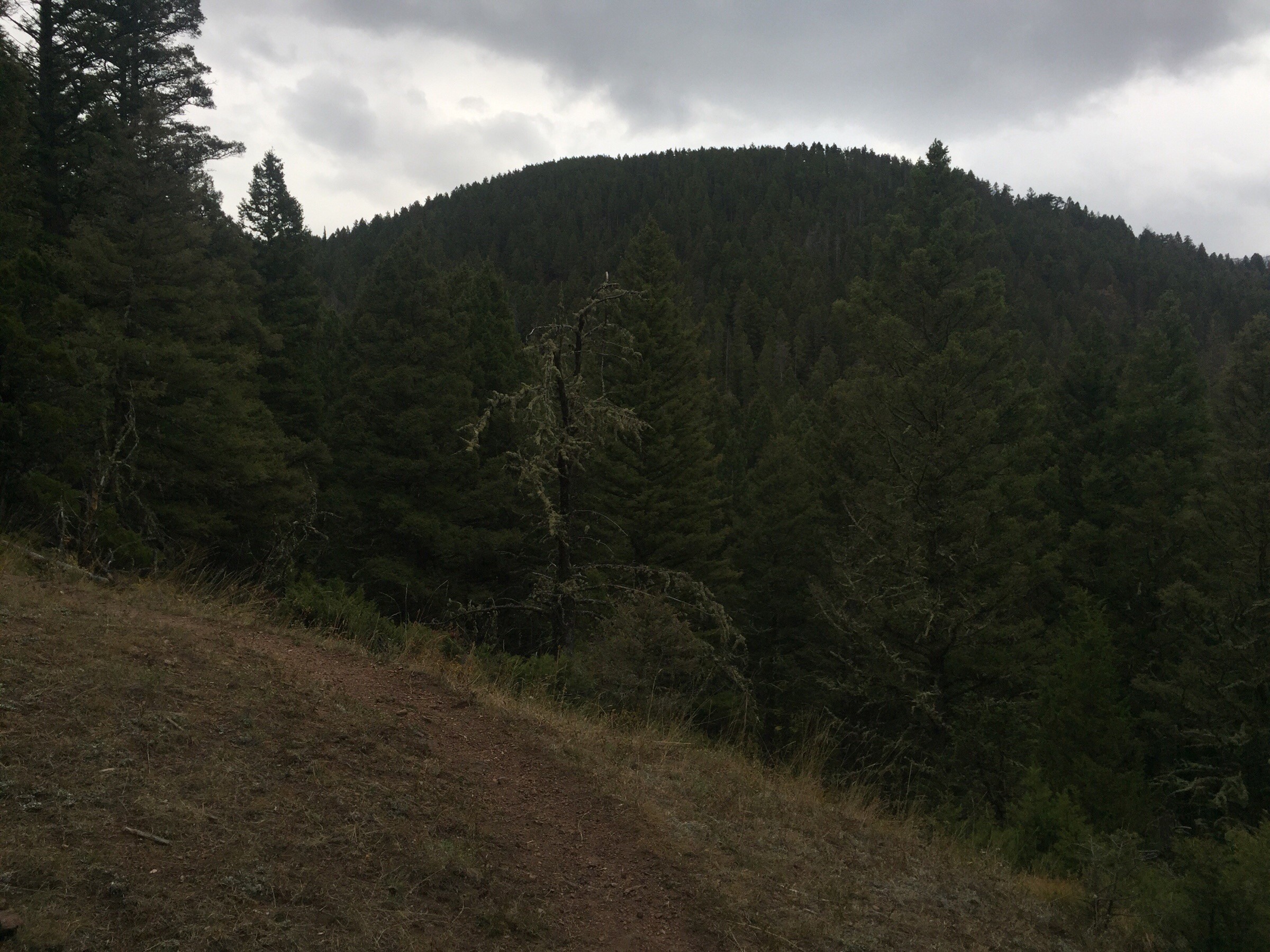 Clearings | Natural Atlas