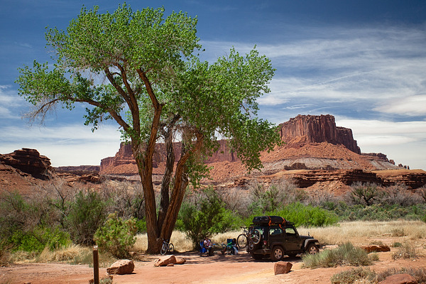 Potato Bottom Backcountry Vehicle Camp | Natural Atlas