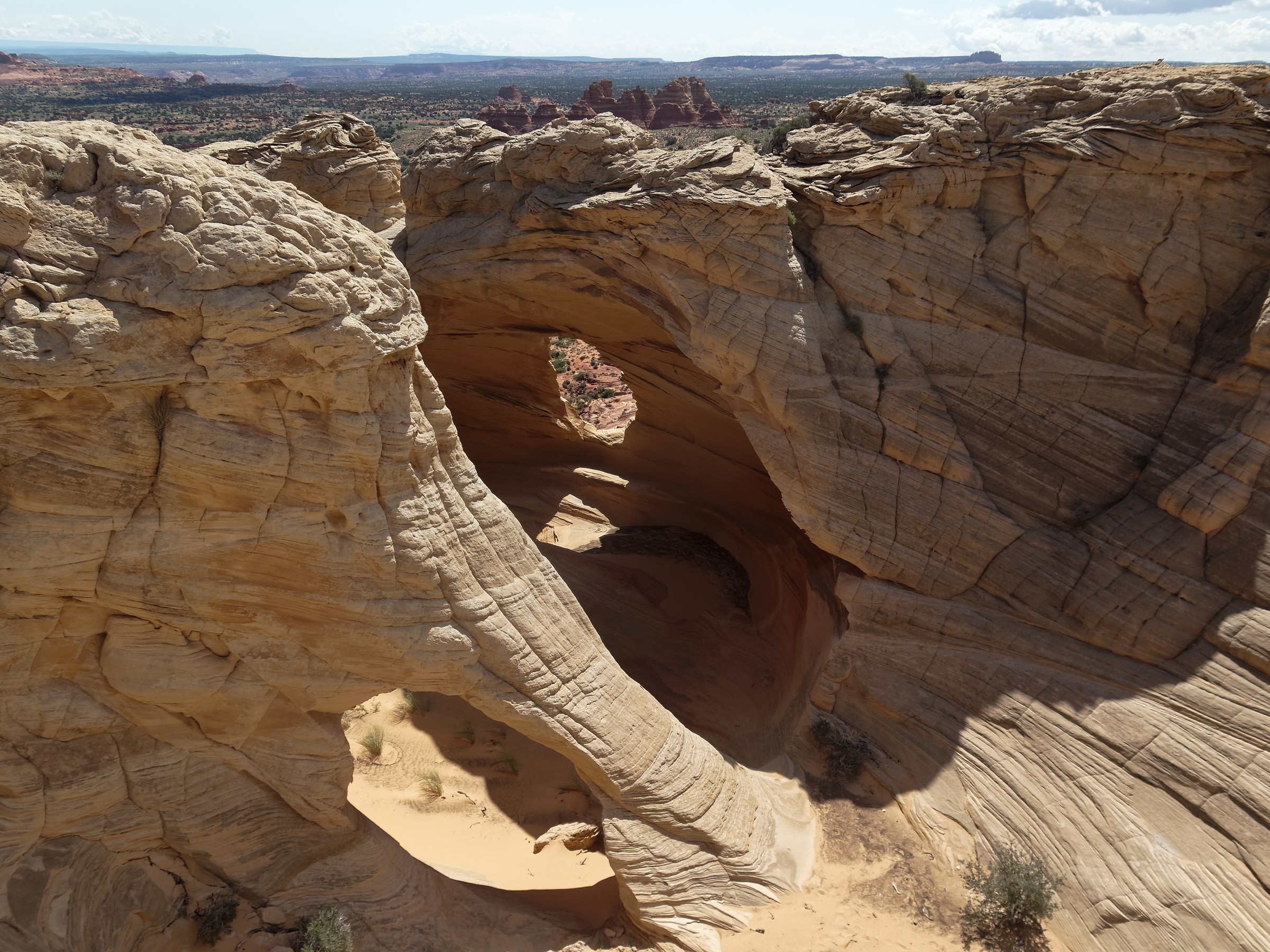Melody Arch | Natural Atlas