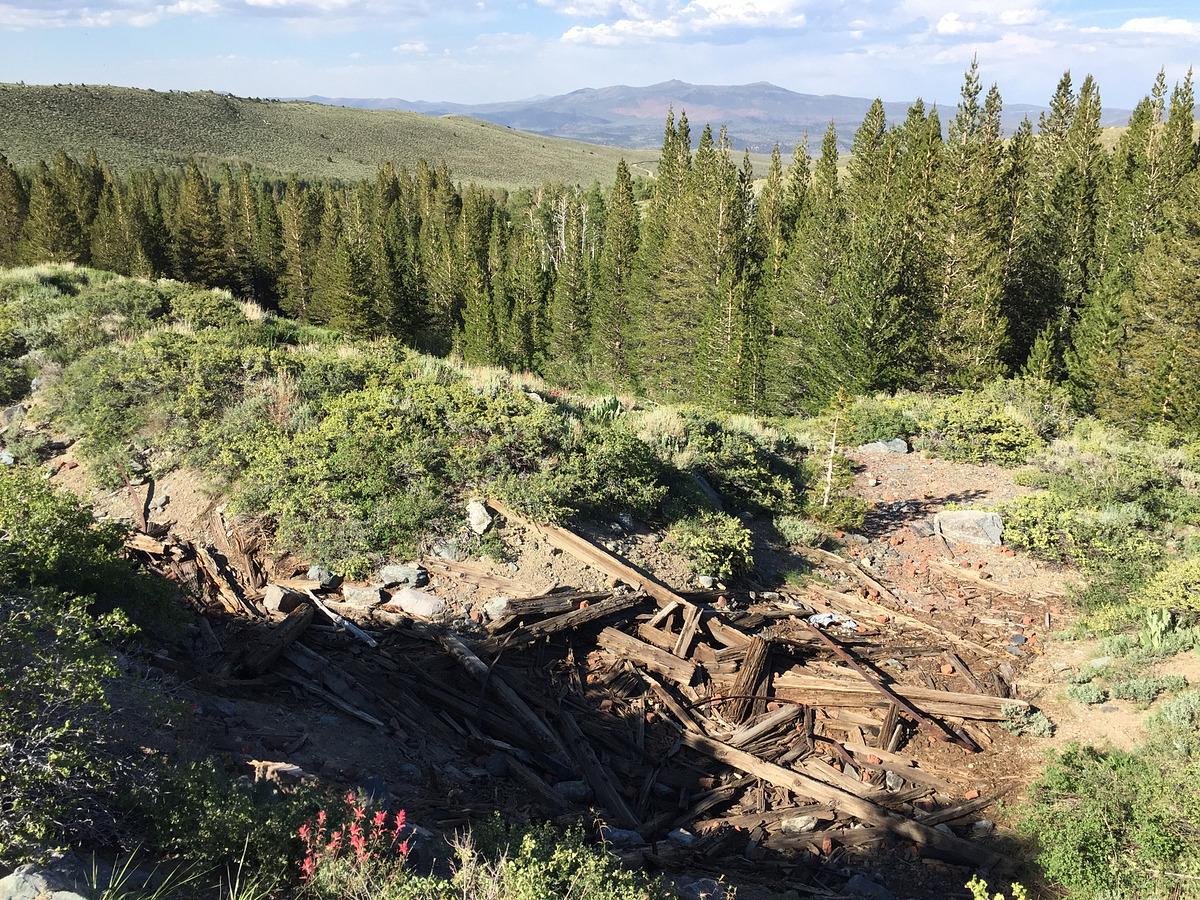 Dunderberg Mill | Natural Atlas