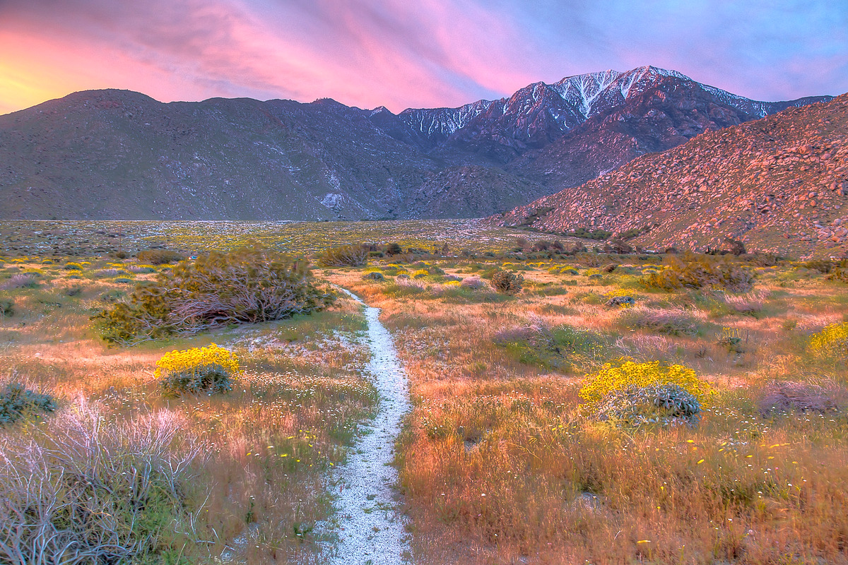 Pacific Crest Trail | Natural Atlas