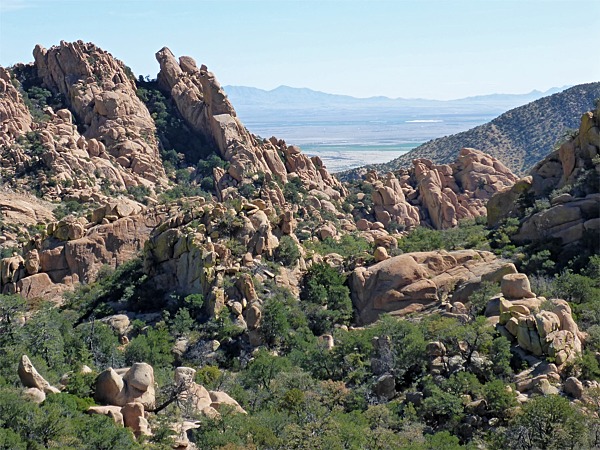 Coronado National Forest Map – Natural Atlas