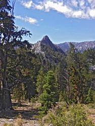 Spring Mountains National Recreation Area Map – Natural Atlas