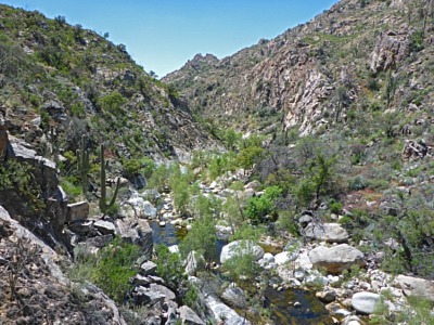 Coronado National Forest Map – Natural Atlas