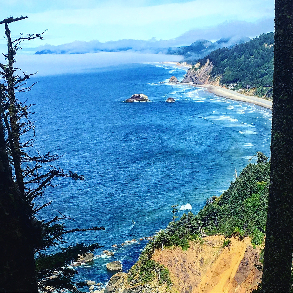 Arch Cape to Cape Falcon Trail | Natural Atlas